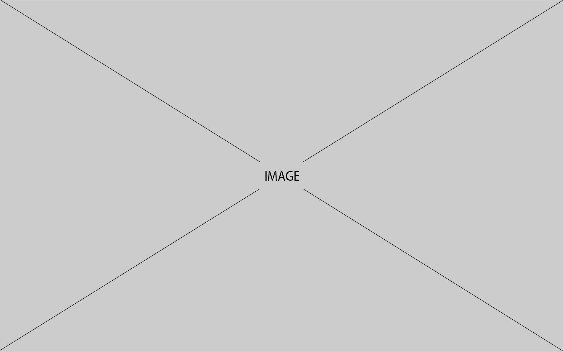Example Motor Auction Group